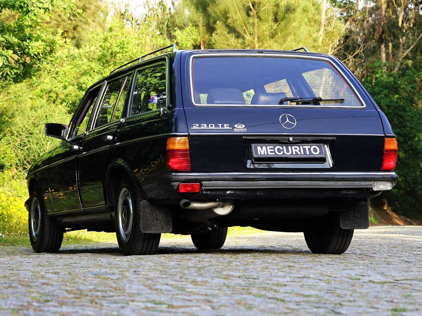 Mercedes-Benz TE 230 W123 de 1980 à vendre - Automobiles de collection ...